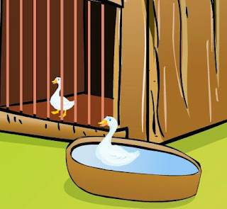 Duck Escape | Juegos de Escape. Escape Games. Escape Room Online