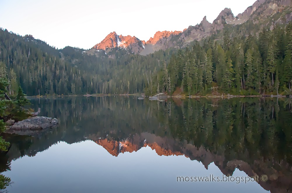 Walks with Moss: Mildred Lakes Overnighter