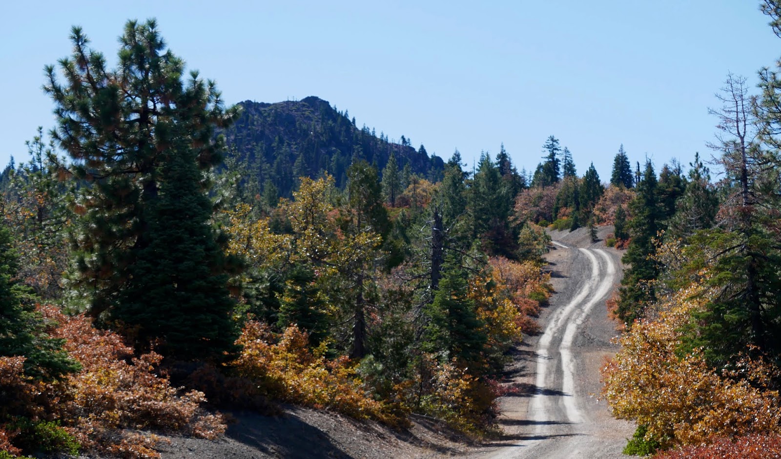 The Church of the Open Road Press: YUKI TERRITORY