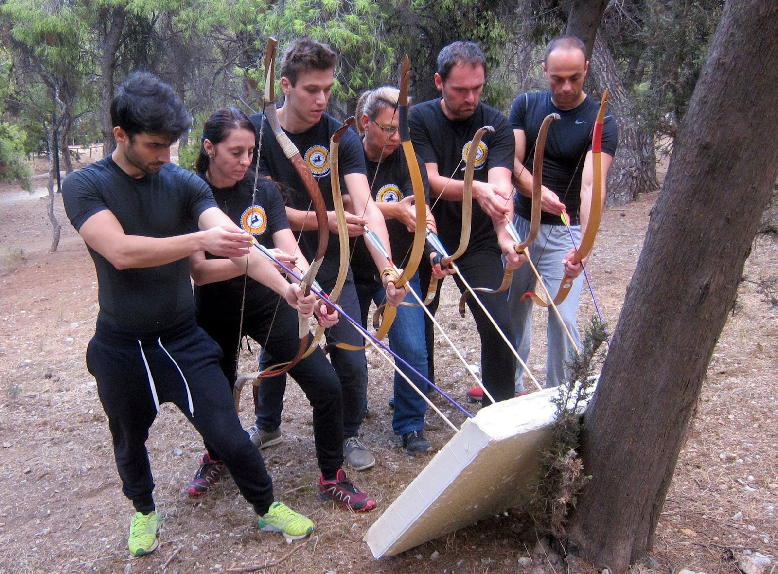 ΕΛΛΗΝΙΚΗ ΕΦΙΠΠΗ ΤΟΞΟΒΟΛΙΑ: ΕΝΔΤΙΚΤΩΔΗΣ ΤΟΞΟΒΟΛΙΑ