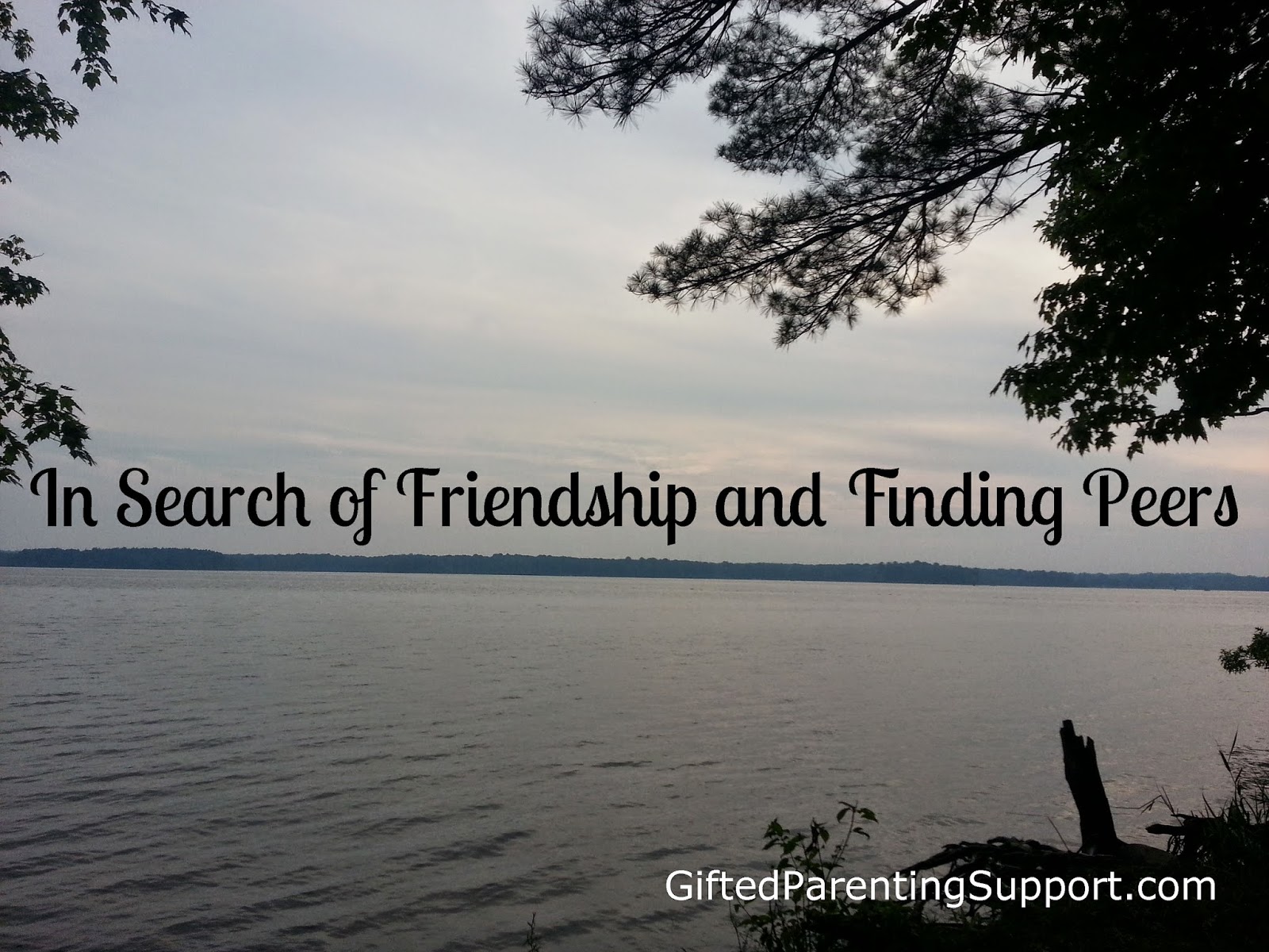 In Search of Friendship and Finding Peers