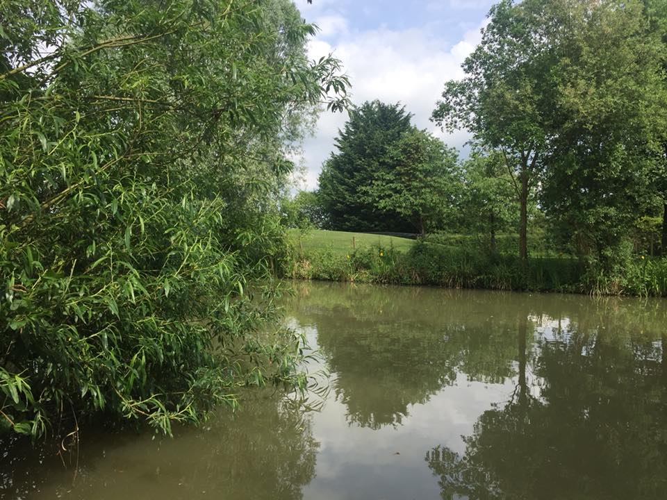 UK fishing venues: Raker Lakes (Horseshoe Lake) - Venue Review