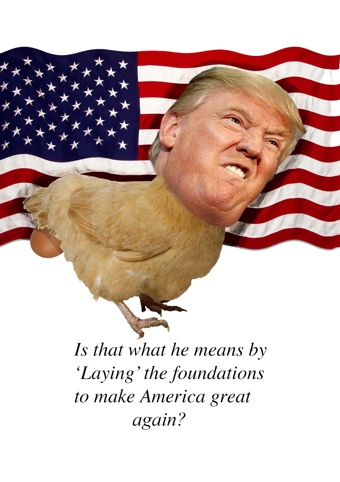 Context of Practice : Donald trump photoshopped as a chicken