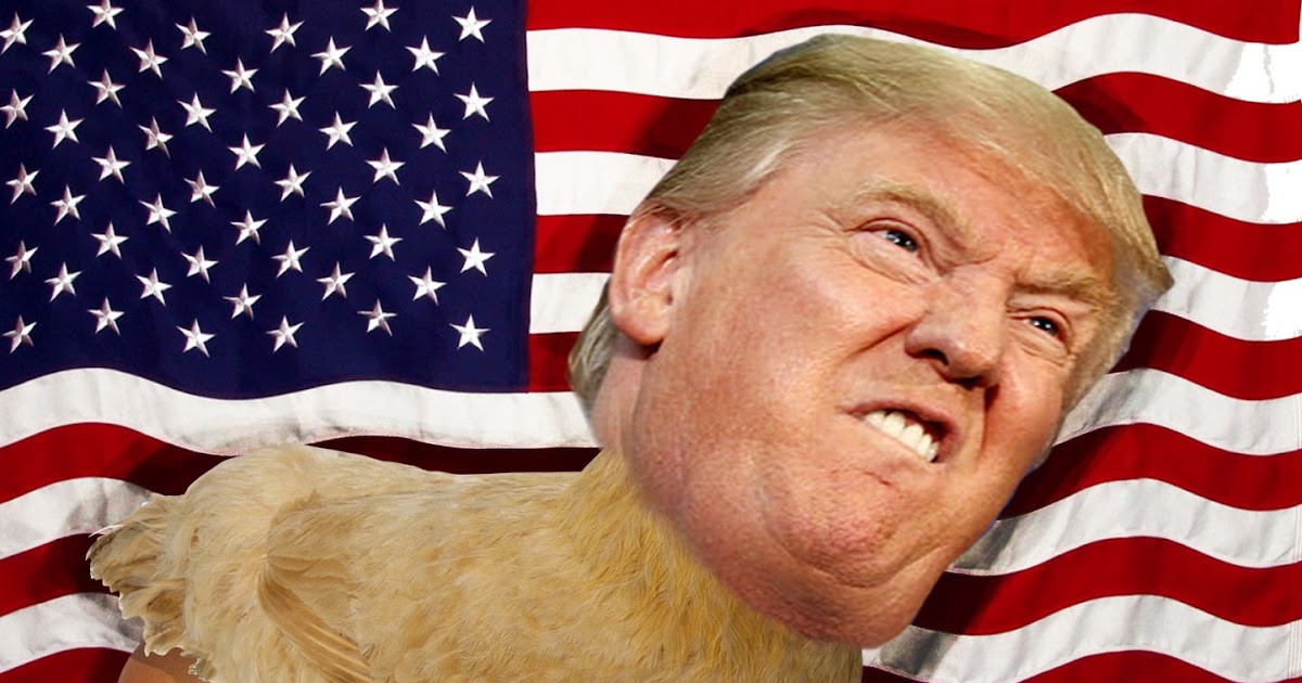 Context of Practice : Donald trump photoshopped as a chicken