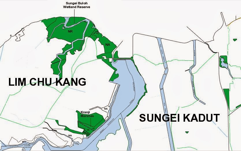 wild shores of singapore: Mandai mangroves in the Draft Master Plan 2013