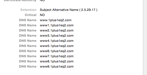 Ken Felix Security Blog: CN and Subject Alternative Names in SSL/TLS ...