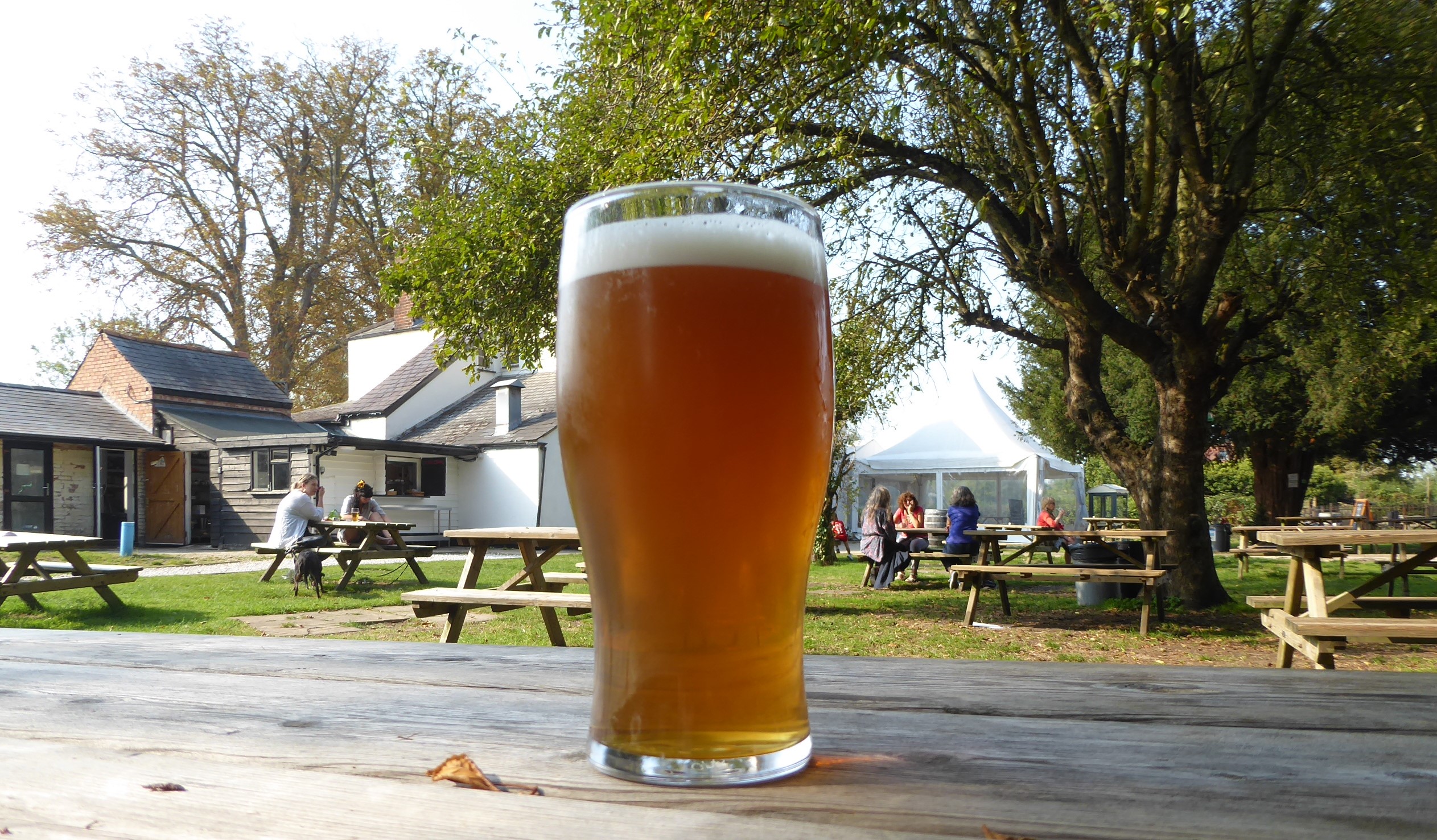 Prop Up the Bar: Iffley Road, Iffley & Abingdon Road Pubs