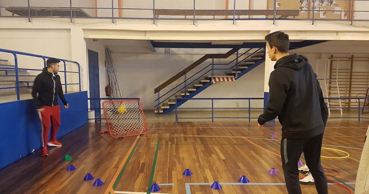 Duodécima sesión 26/11/2019