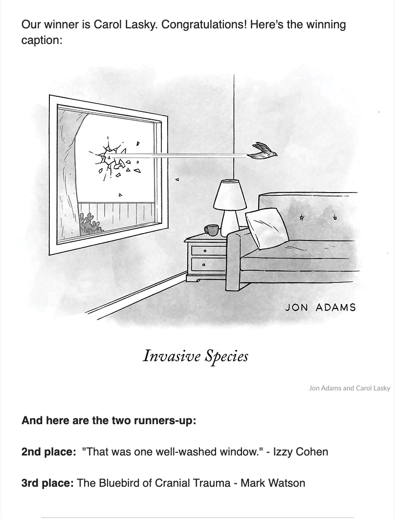 Attempted Bloggery: The Cartoon Collections Caption Contest #78
