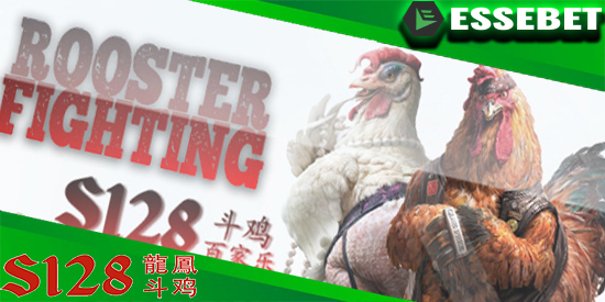 CARA MENILAI S128 SABUNG AYAM TAJI YANG TERBAIK | Essebetjoker123