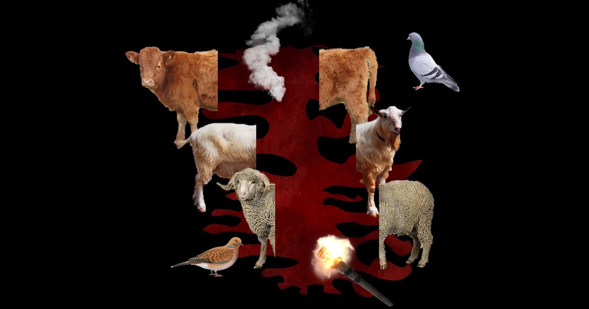 Dig Deeper: Blood Path: Genesis 15 Covenant