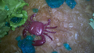 Munchkin and Bean: Edible Ocean Small World