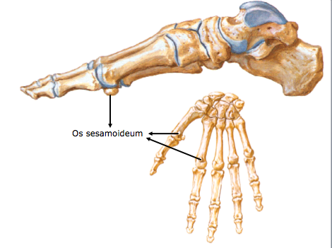 not defteri: Ekim 2015