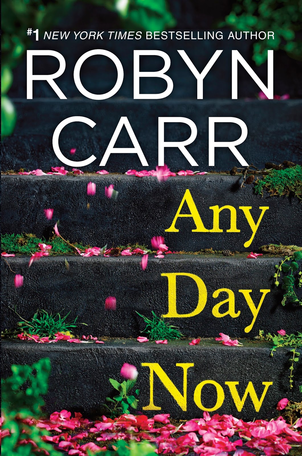 A Bookworm's World: Giveaway - Any Day Now - Robyn Carr