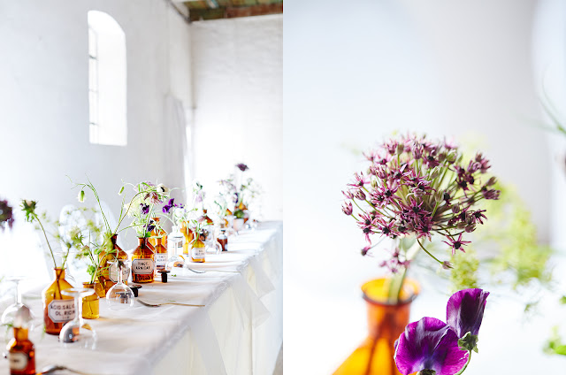 D I E T L I N D W O L F: botanical alchemical wedding