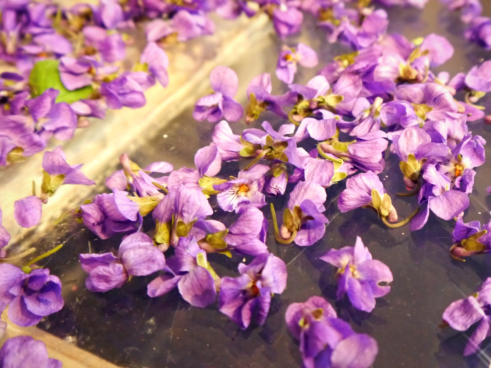 Suzy Homefaker: Candied Violets