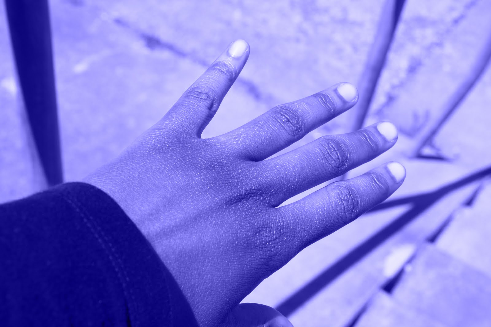 Briana Raiford Digital Photography: color Purple,Color Symbolism #4