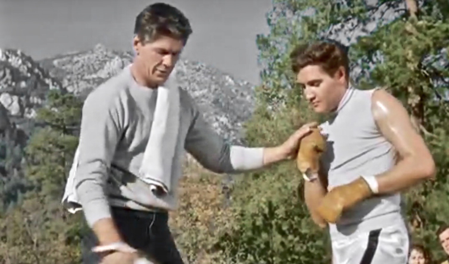cult film freak: CHARLES BRONSON TRAINING ELVIS PRESLEY IN 'KID GALAHAD'
