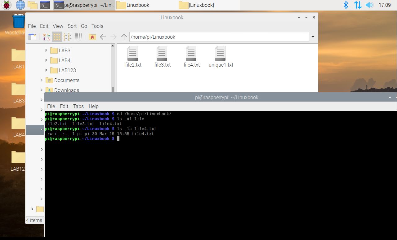 LAB 2 | FULL GUIDE | BASIC LINUX COMMANDS