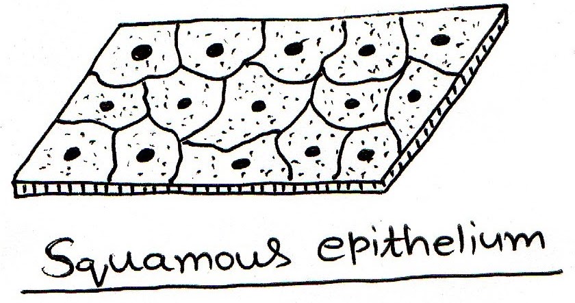 Welcome to Edusphere