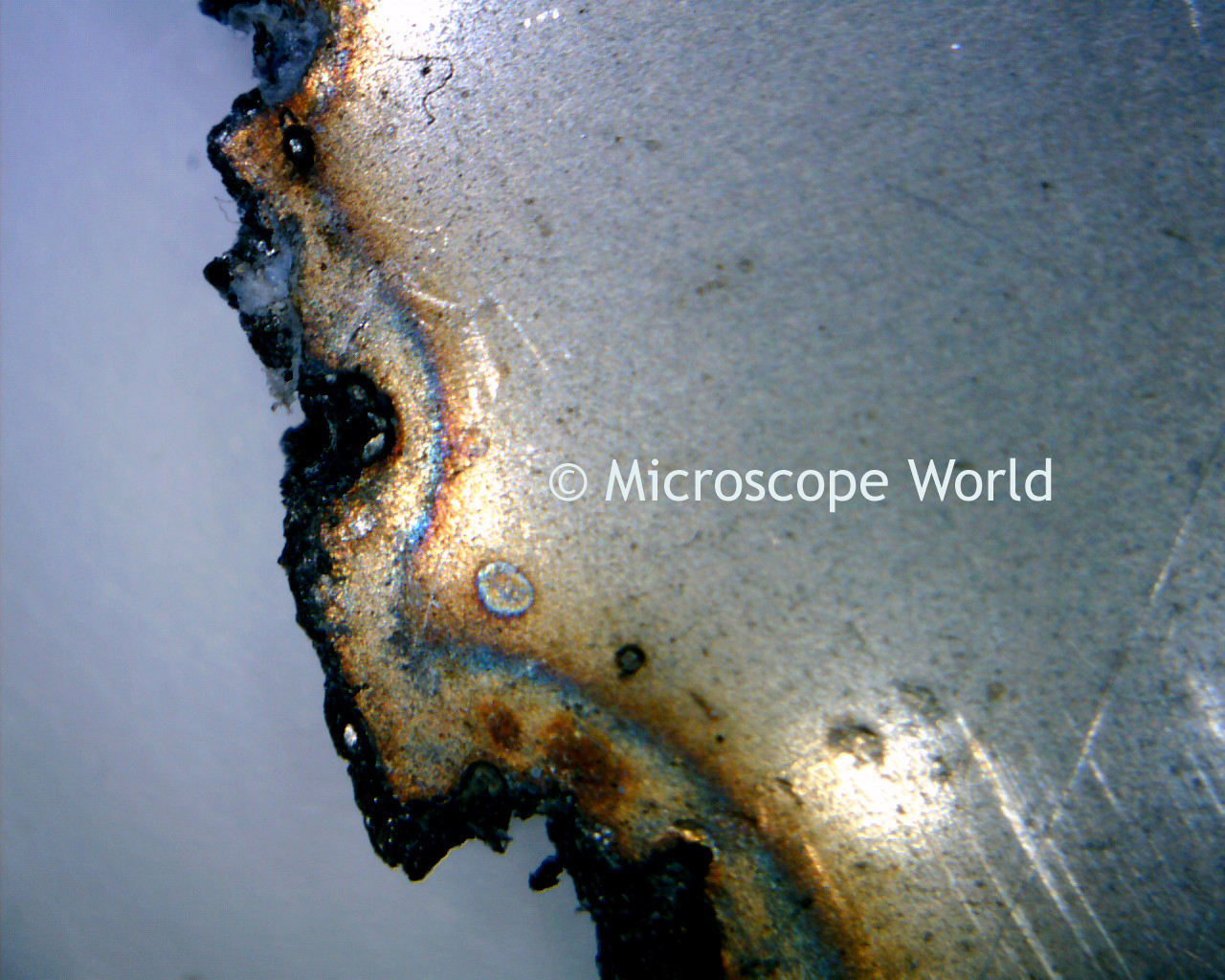 Microscope World Blog: Quartz & Metal Under Microscope