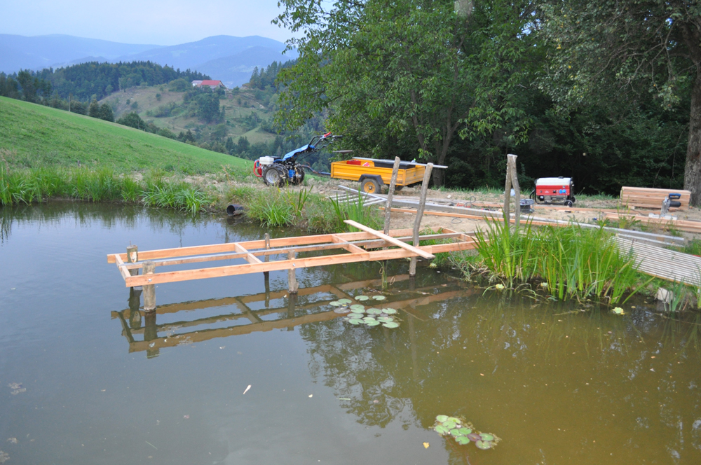 oslikarstvuinšečem: Pomol