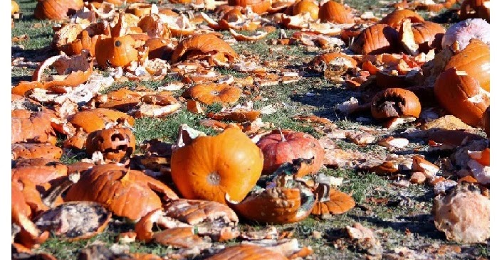 Vermont Pumpkin Chuckin' Festival: It's Final: The Vermont Pumpkin ...