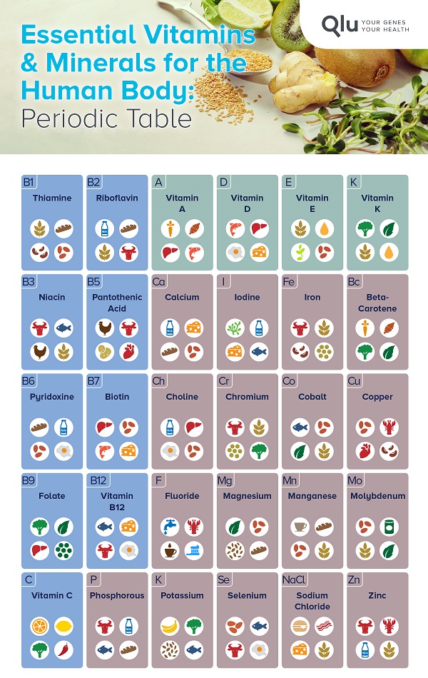 Essential Vitamins & Minerals for the Human Body