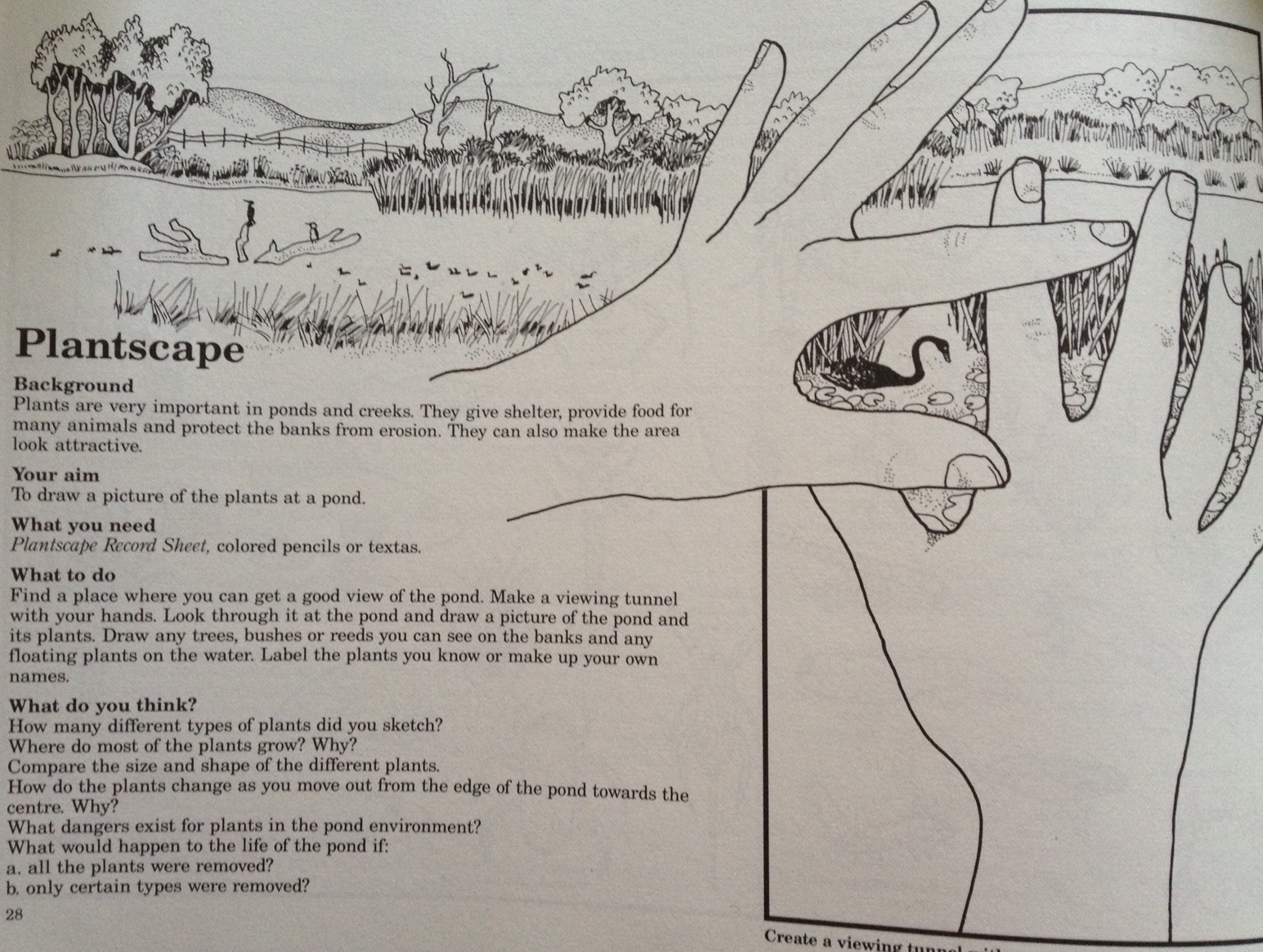 Ponding - Tuesday's Treasures