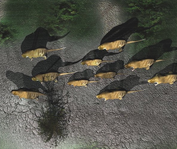 El Pensieve de Dinorider: Phoberomys, chinchilloide gigante en Madre de ...