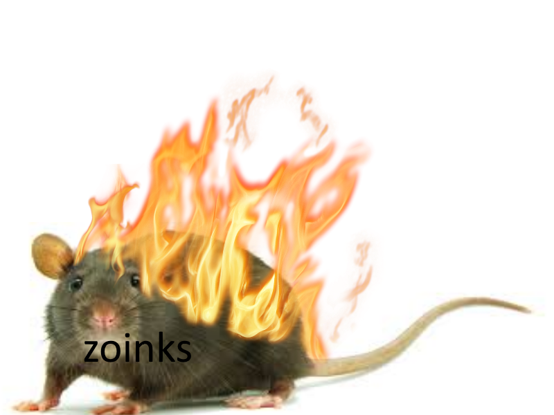 how to set a rat on fire