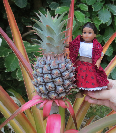 Lissie & Lilly: Mini Josie Goes Shopping in Maui, HI