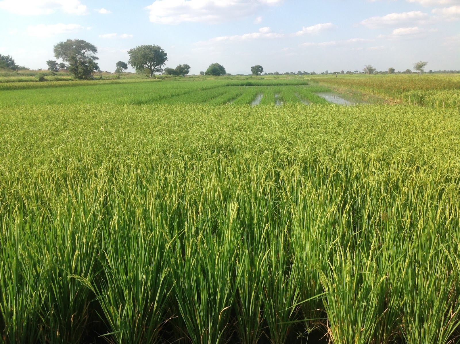 Banzi wa Moro: KARIBU MKOA WA MOROGORO