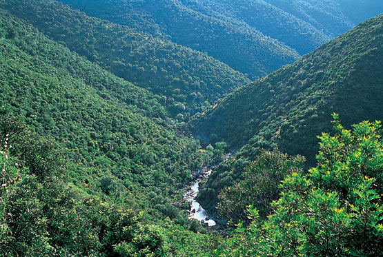 Los paisajes: LOS RÍOS