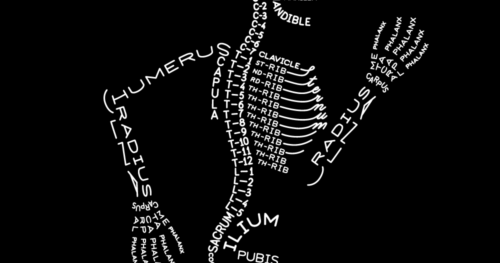 Geek Art Gallery: Fresh Take: Typographic Skeleton