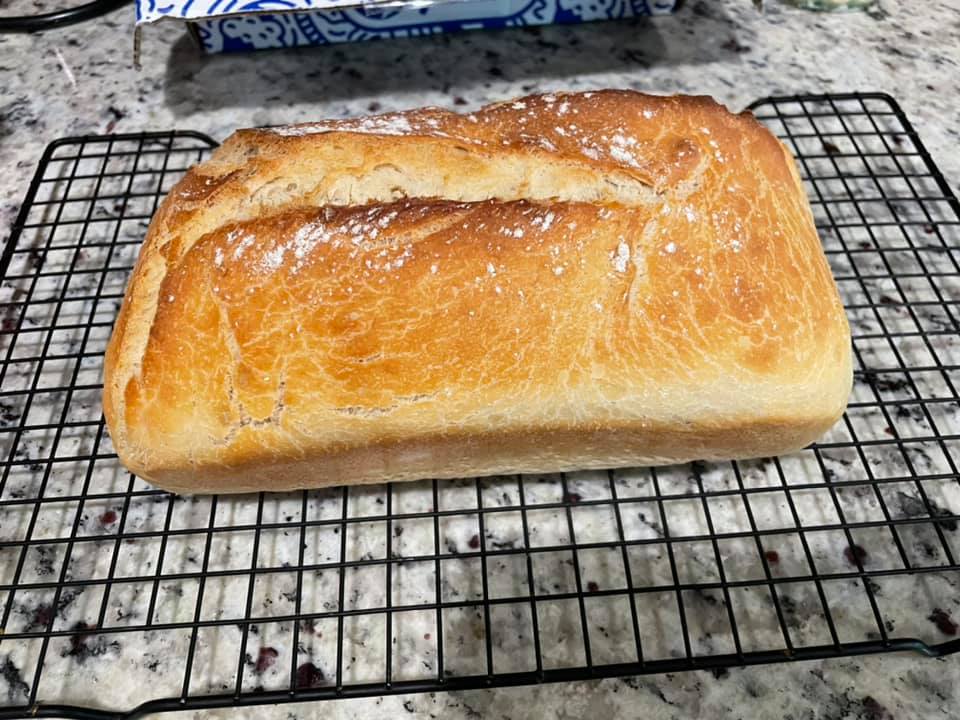 Matilda's Boxer Banter