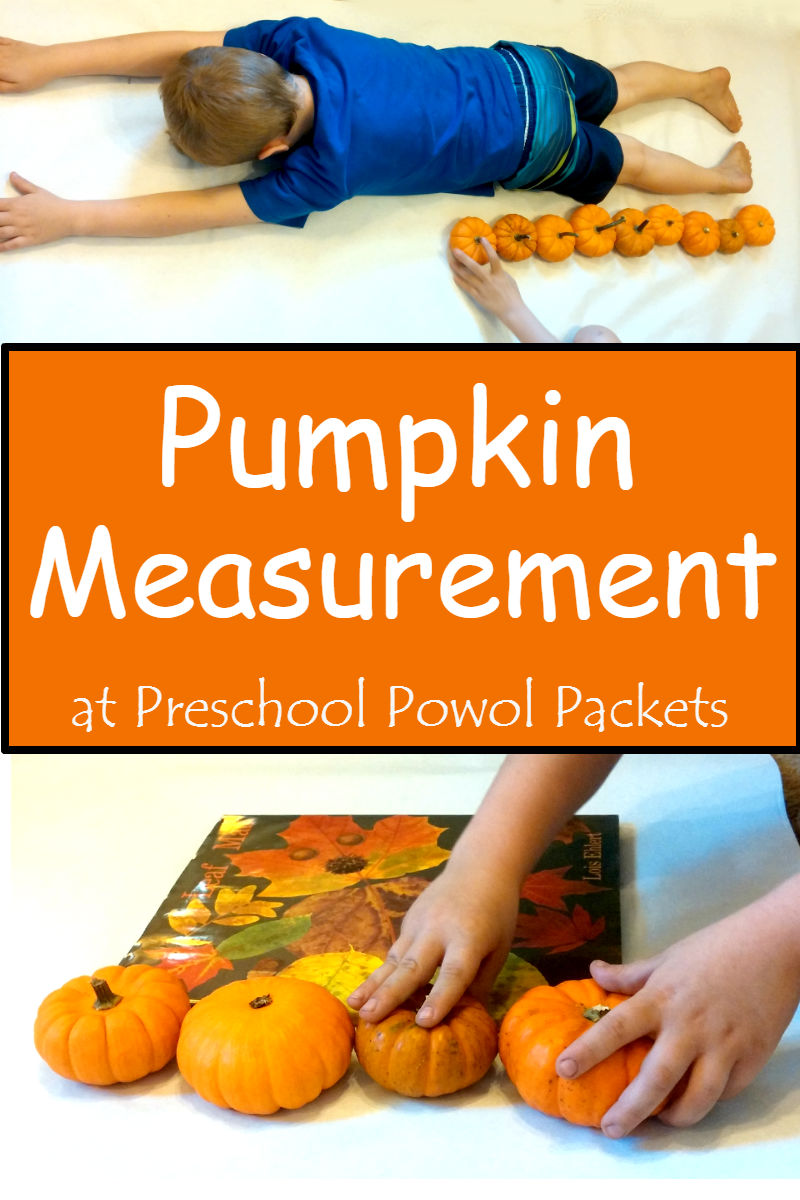 Preschool Pumpkin Math Science Preschool Powol Packets preschool-pumpkin-math-science-preschool-powol-packets