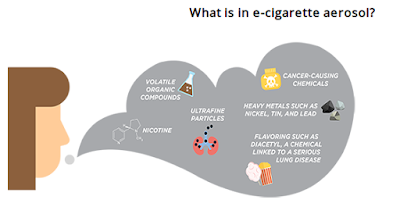 Avian Flu Diary: JCI: Electronic Cigarettes Disrupt Lung Lipid ...