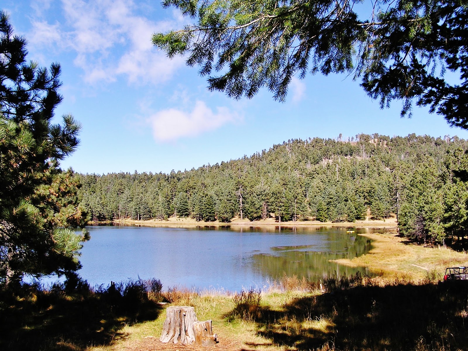 All The Good Names Were Taken: Coronado National Forest: Mount Graham ...