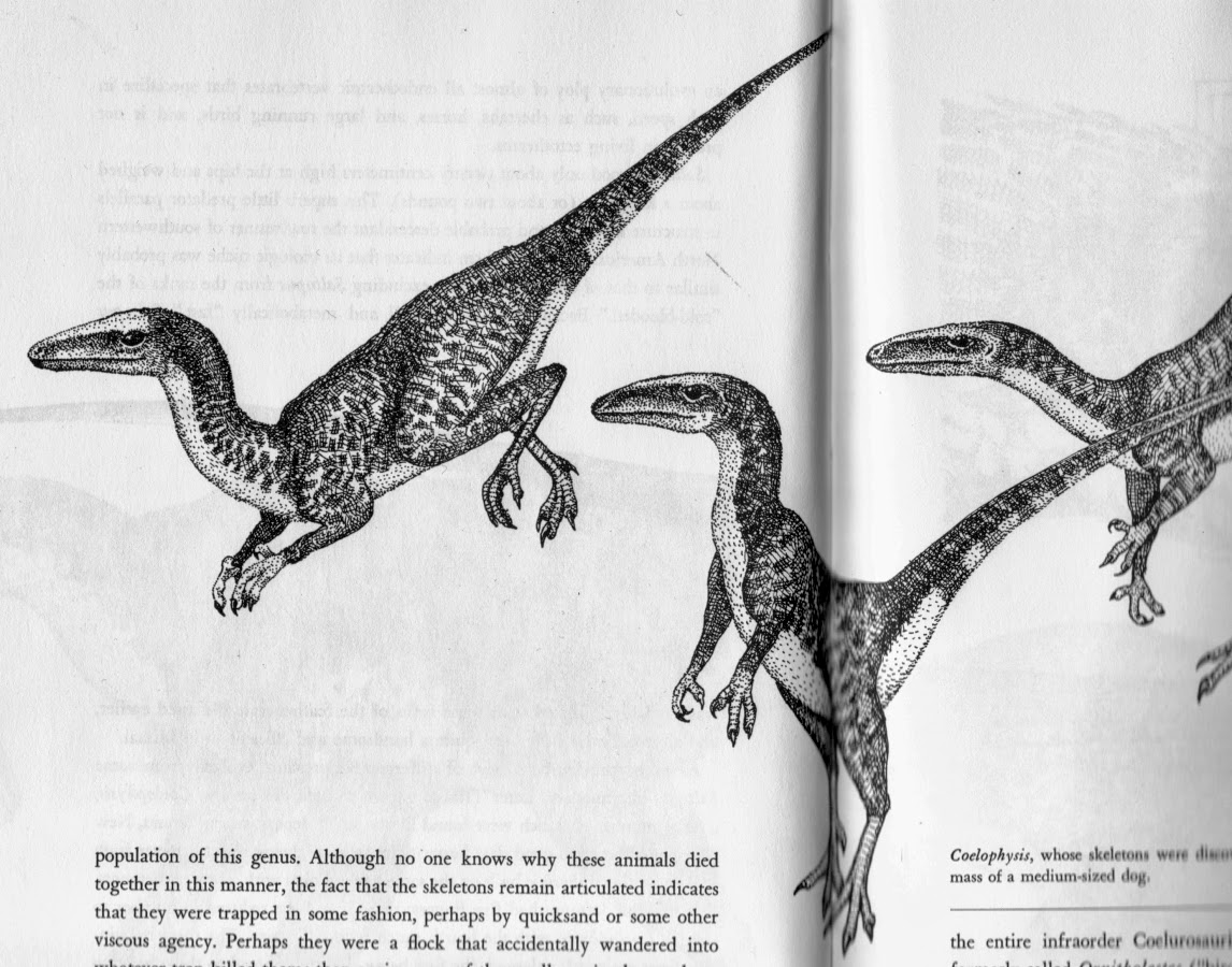 Love in the Time of Chasmosaurs: Vintage Dinosaur Art: Archosauria - Part 1