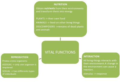 OUR NATURAL SCIENCE CLASS -5TH-: UNIT 1. LIVING THINGS