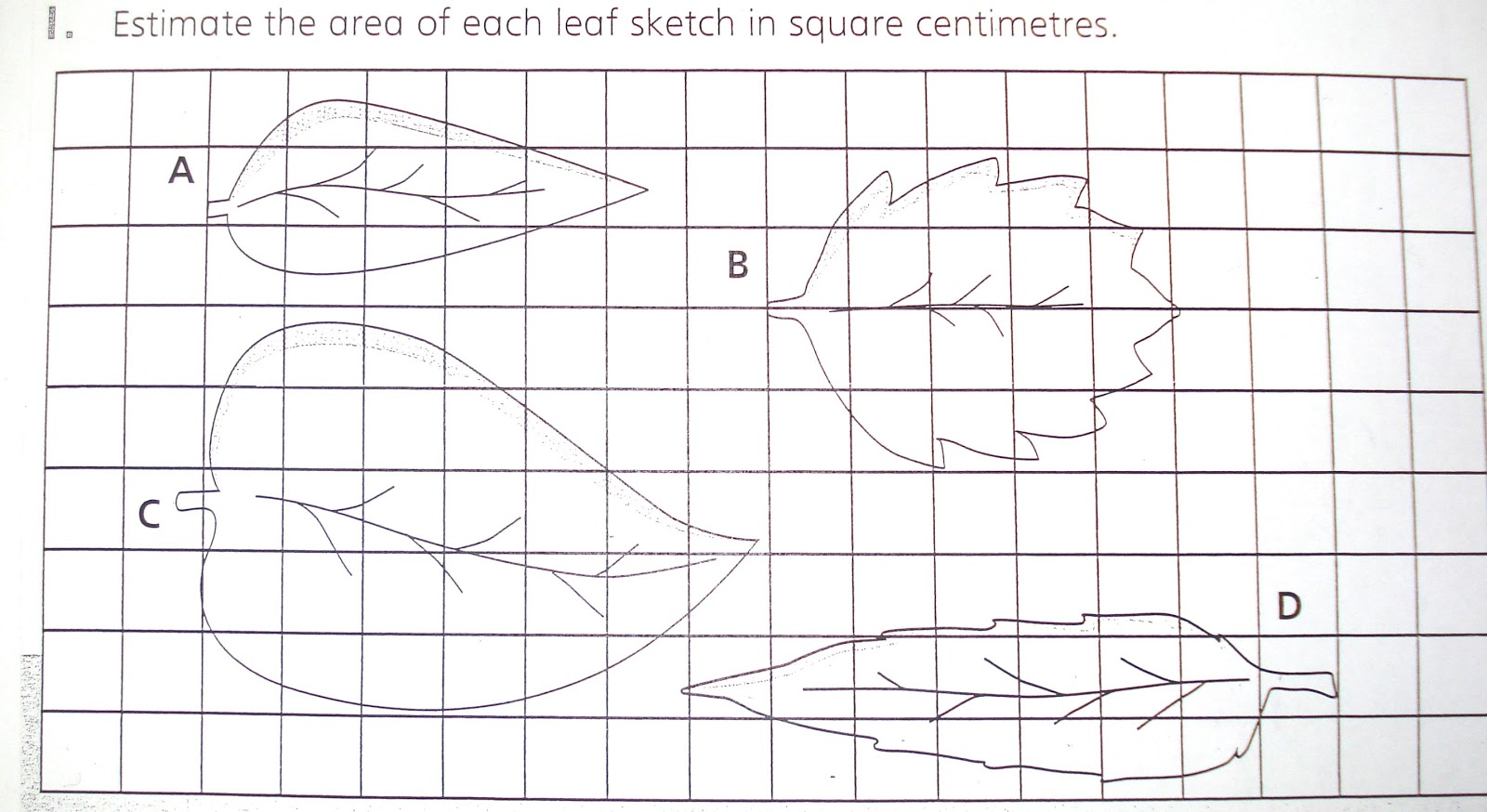 Authentic Inquiry Maths: Find the Area of a Leaf