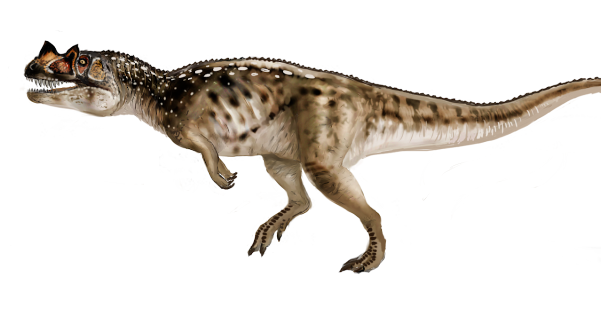 Walking With Dinosaurs Ceratosaurus