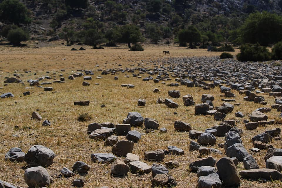 ΟΡΕΙΒΑΤΙΚΟΣ ΣΥΛΛΟΓΟΣ ΑΓΙΟΥ ΝΙΚΟΛΑΟΥ: ΑΝΑΒΑΣΗ στον ΑΦΕΝΤΗ ΧΡΙΣΤΟ της ΔΙΚΤΗΣ