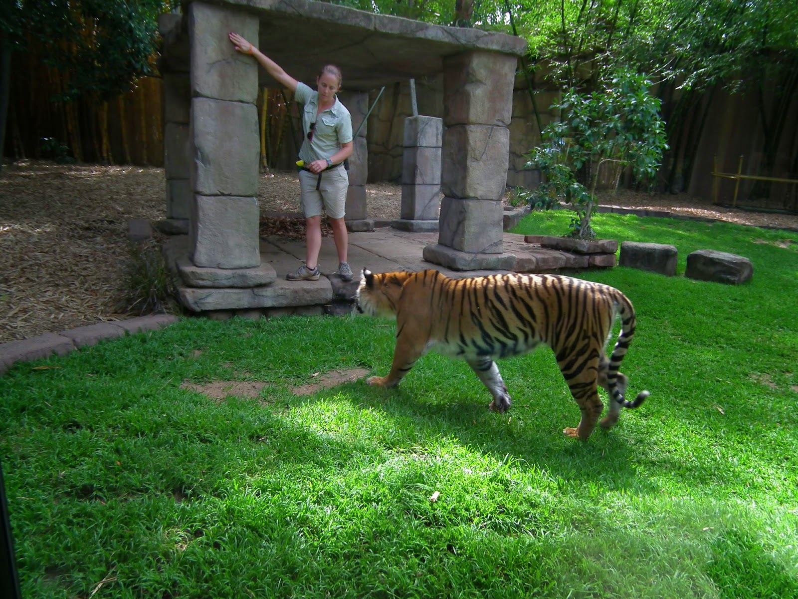My Mid-Twenties Gap Year : Australia Zoo (Steve Irwin Zoo)