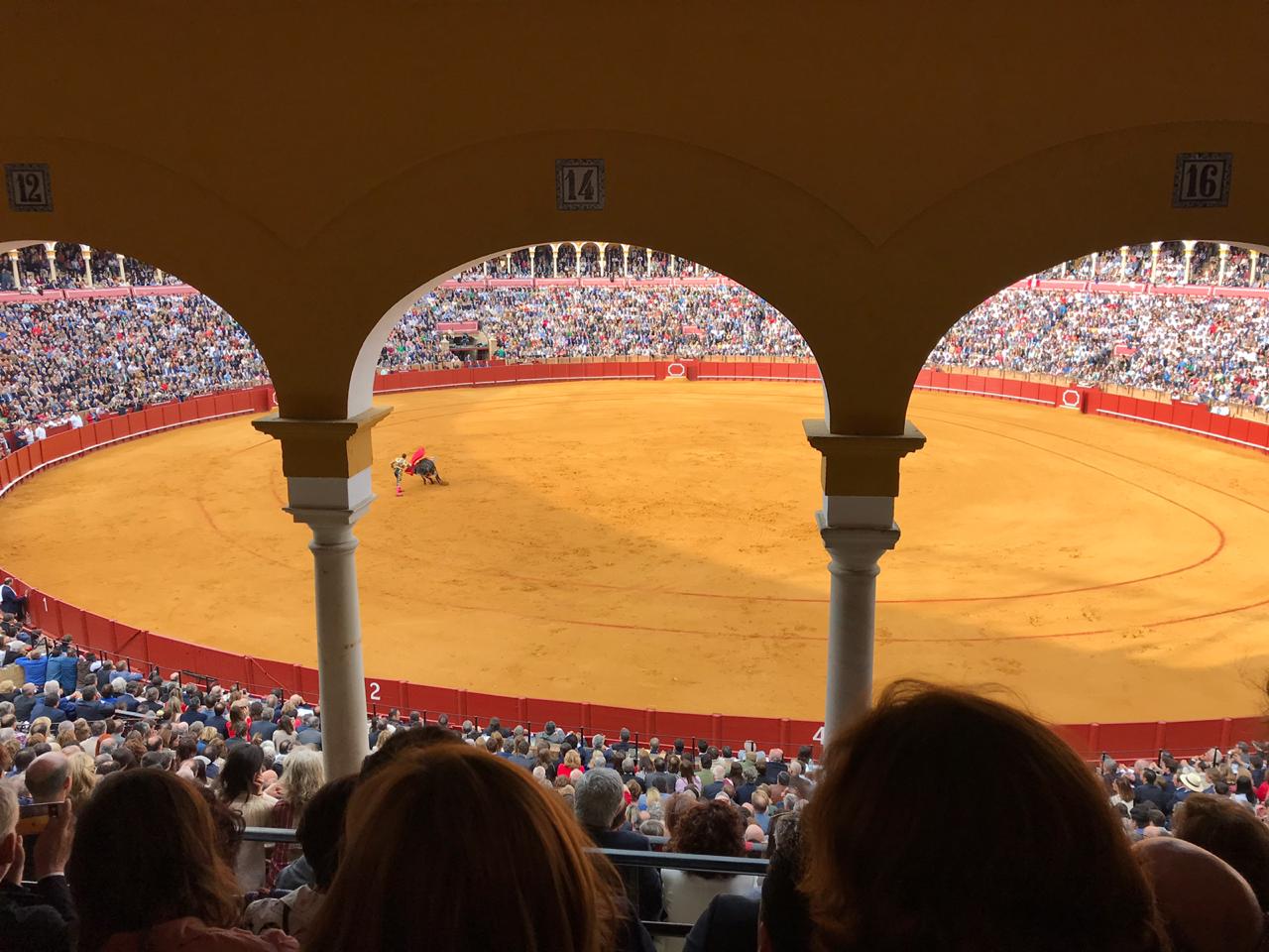 Sevilha: Real Alcázar, Catedral, Tourada e Flamenco