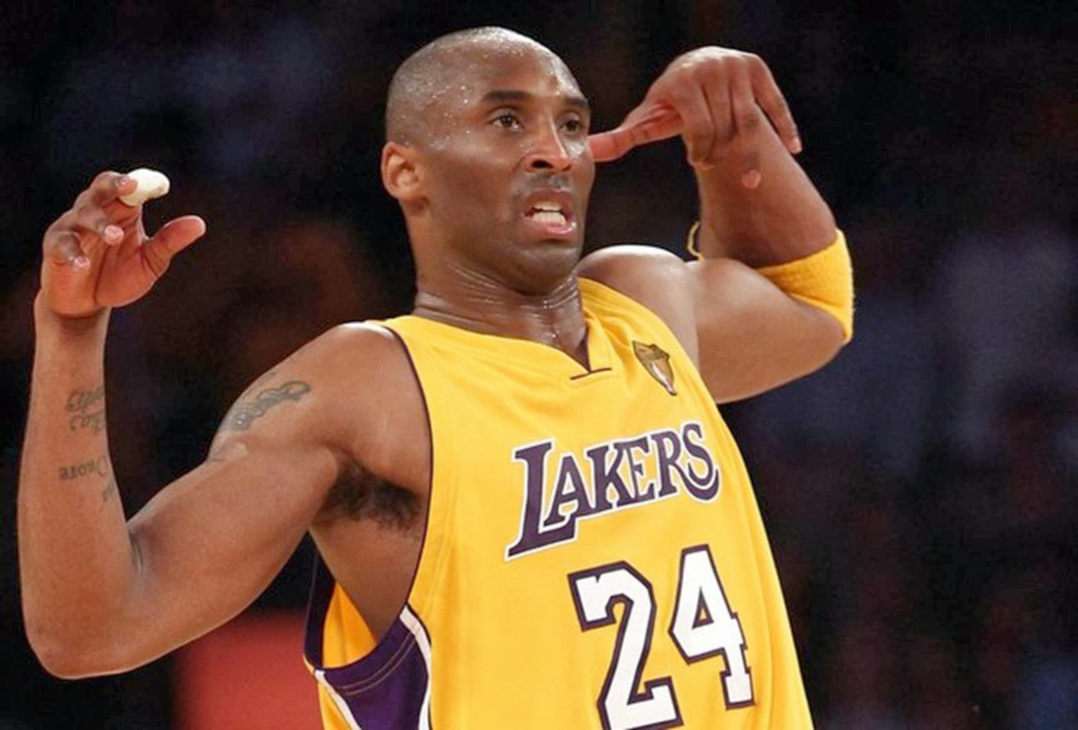 Welcome: 11/21/13 [enterarena.blogspot.com]