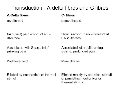 A-delta fibers VS C fibers