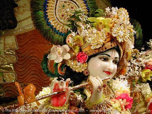 wallpaper: krishan ji snap