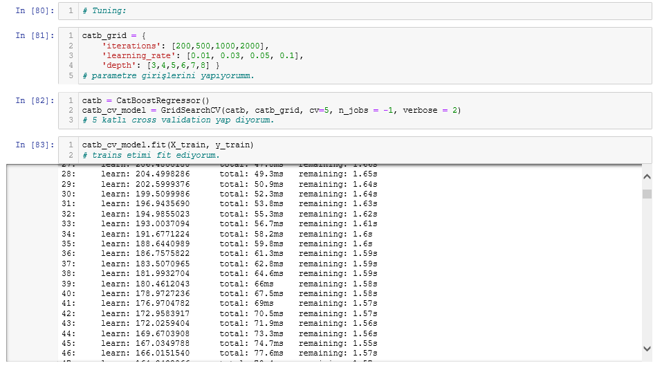 Python - CatBoost (Regresyon)